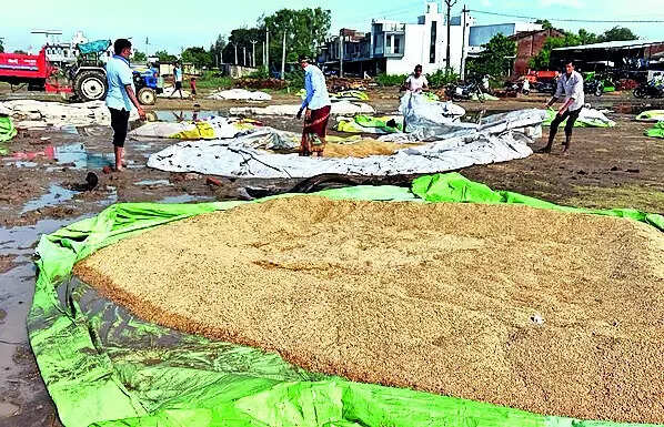 Antroli, Surat: Map, Property Rates, Projects, Photos, Reviews, Info