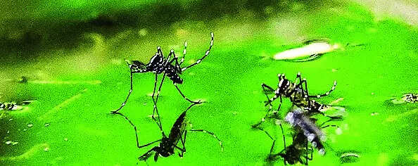 Garkheda Parisar, Aurangabad: Map, Property Rates, Projects, Photos ...