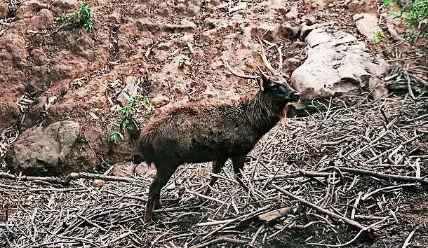 Lankeshwar, Guwahati: Map, Property Rates, Projects, Photos, Reviews, Info