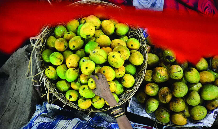 Goa Maharashtra Border, Goa: Map, Property Rates, Projects, Photos ...