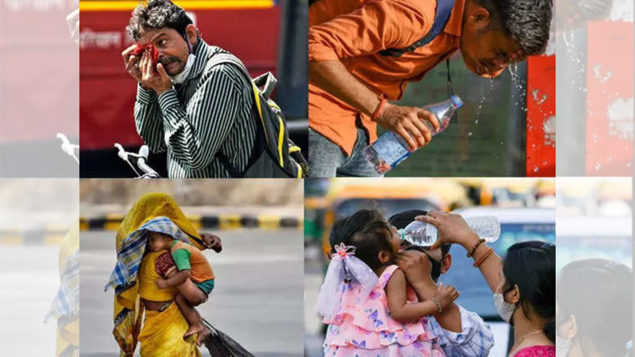 Jaggi Garden, Ambala: Map, Property Rates, Projects, Photos, Reviews, Info