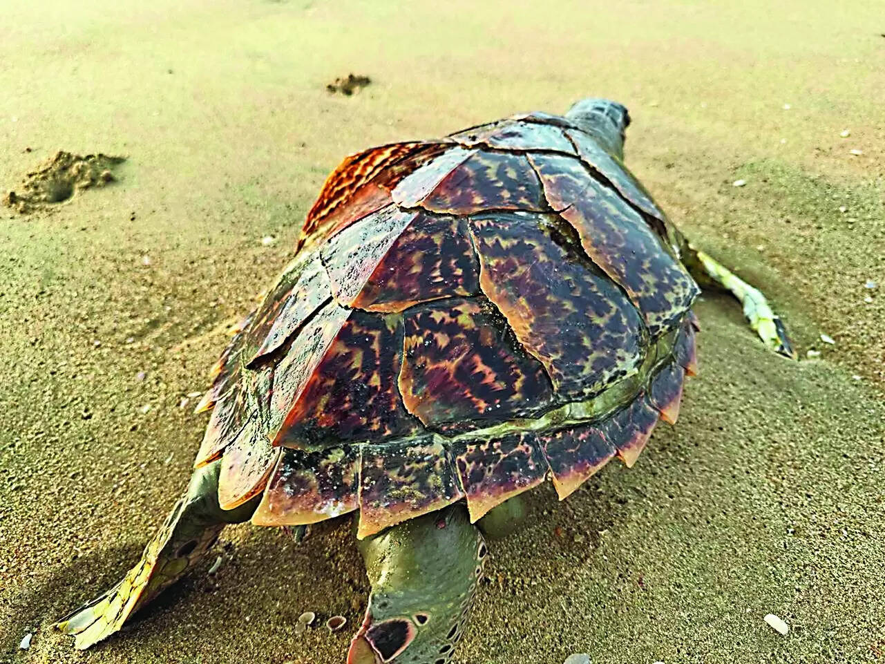 Valarpuram, Chennai: Map, Property Rates, Projects, Photos, Reviews, Info