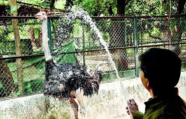 Utran, Surat: Map, Property Rates, Projects, Photos, Reviews, Info