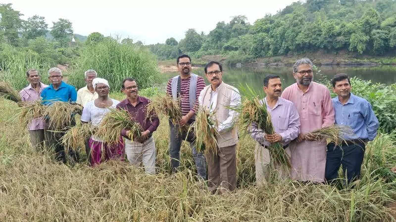 Verna, Goa: Map, Property Rates, Projects, Photos, Reviews, Info