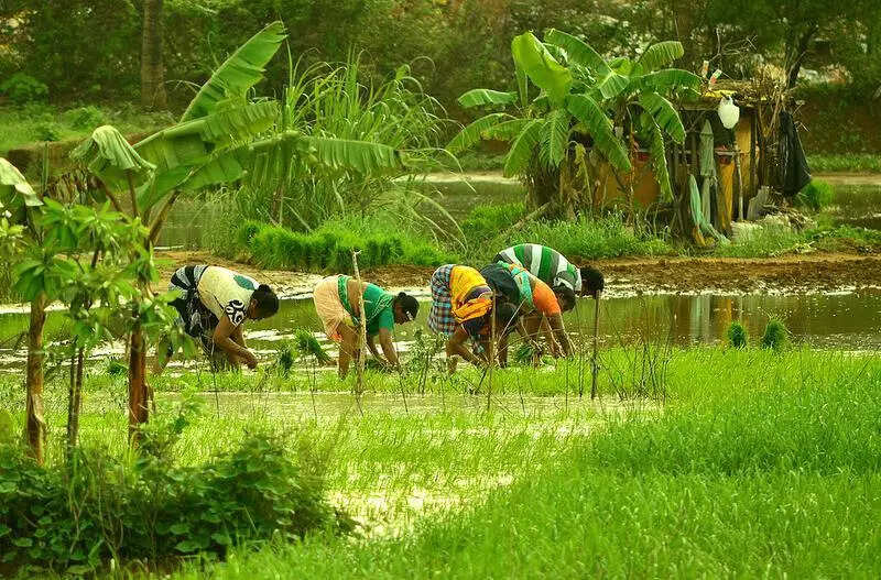 Verna, Goa: Map, Property Rates, Projects, Photos, Reviews, Info