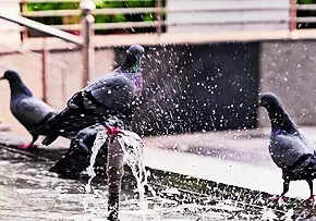 Barewal Awana, Ludhiana: Map, Property Rates, Projects, Photos, Reviews ...