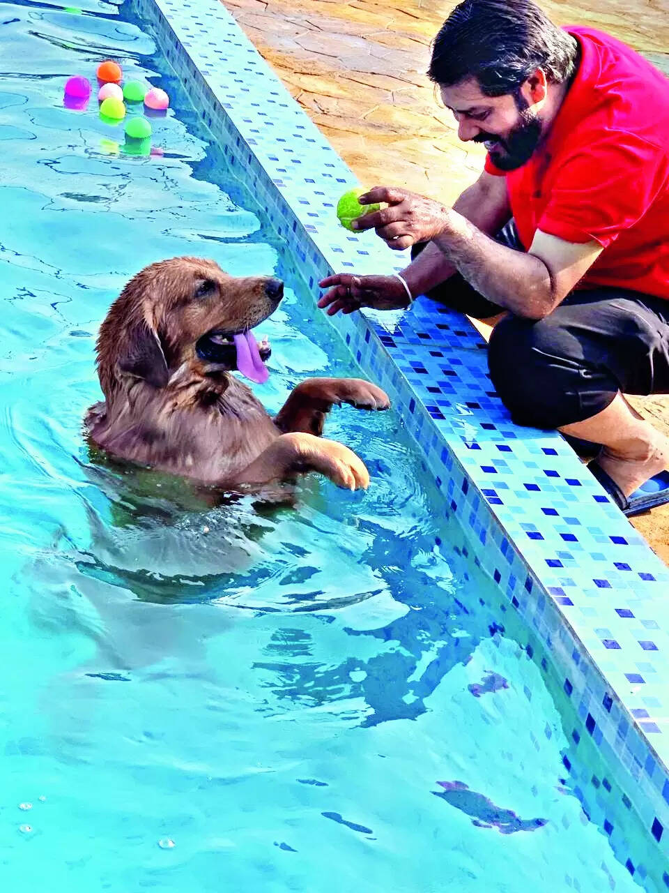 Uruli Devachi, Pune: Map, Property Rates, Projects, Photos, Reviews, Info