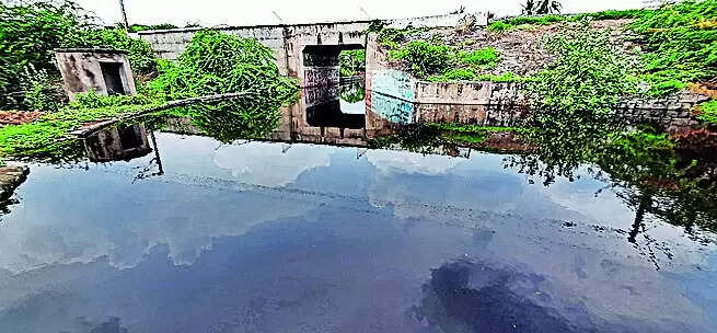 Cross Cut Road, Coimbatore: Map, Property Rates, Projects, Photos ...