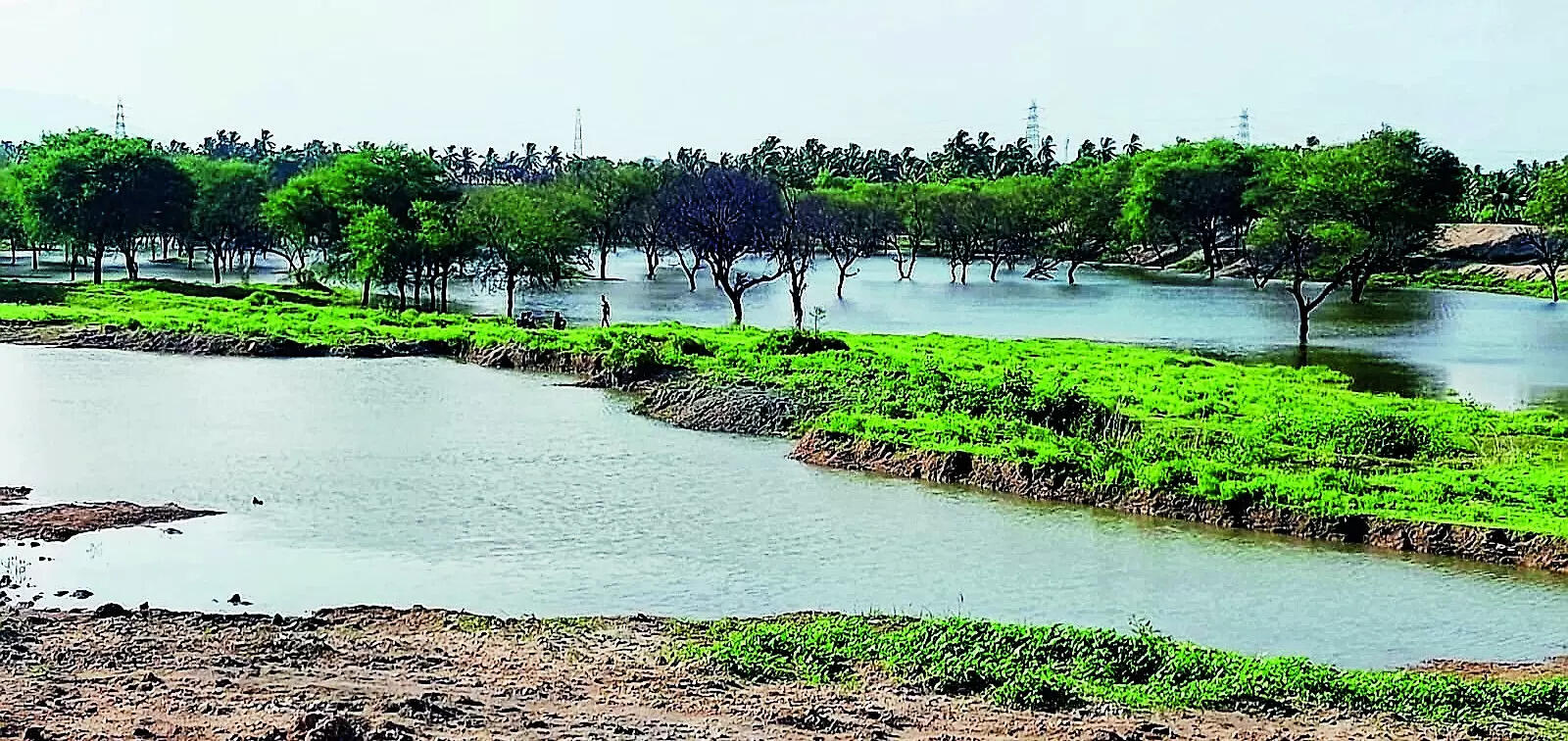 Nehru Nagar, Coimbatore: Map, Property Rates, Projects, Photos, Reviews ...