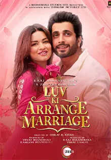 Arranged Marriage Documentary Ravi Patel's Documentary 'Meet The