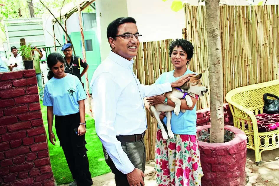 Sector 87, Noida: Map, Property Rates, Projects, Photos, Reviews, Info