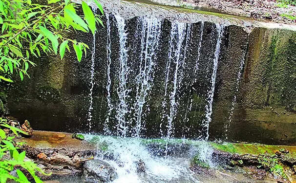 Van Vihar, Dehradun: Map, Property Rates, Projects, Photos, Reviews, Info