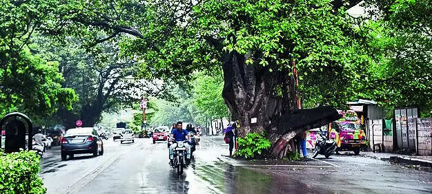 Pathardi Phata, Nashik: Map, Property Rates, Projects, Photos, Reviews ...