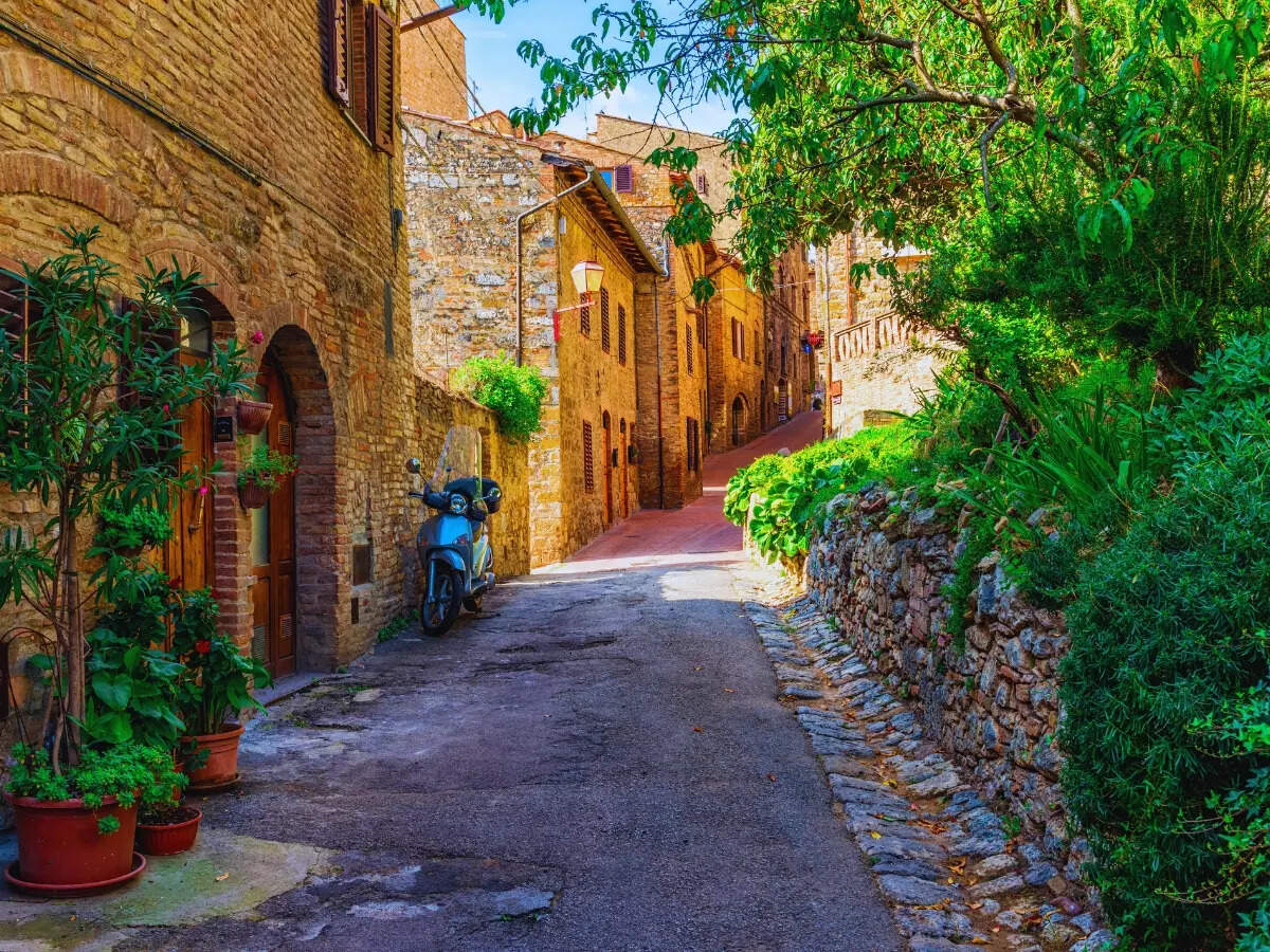 8 countries famous for their countryside destinations | Times of India ...