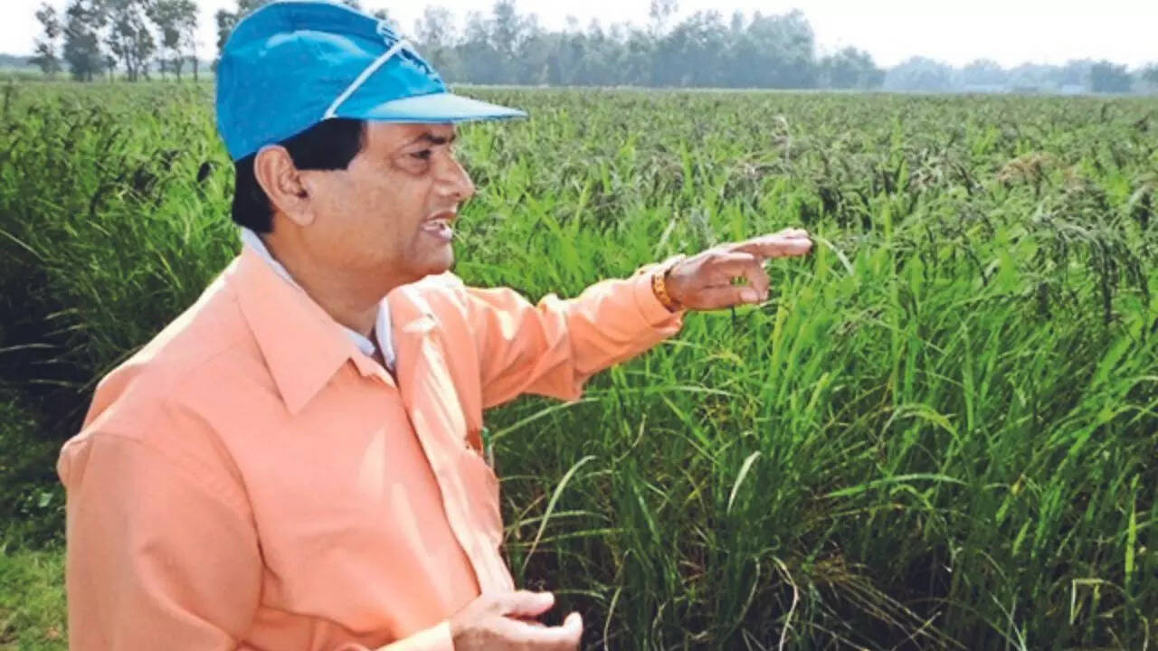 Nising Village, Karnal: Map, Property Rates, Projects, Photos, Reviews ...