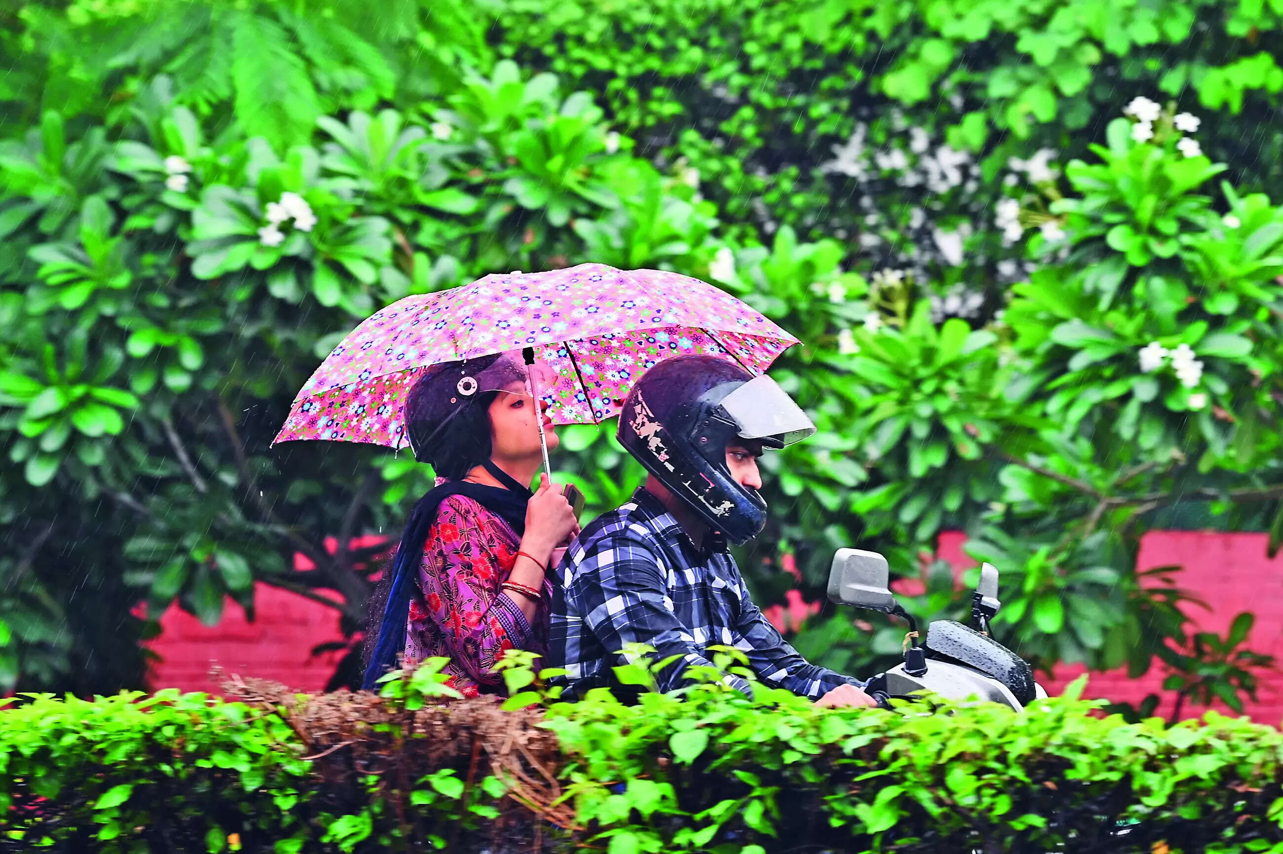 Bijwasan, New Delhi: Map, Property Rates, Projects, Photos, Reviews, Info