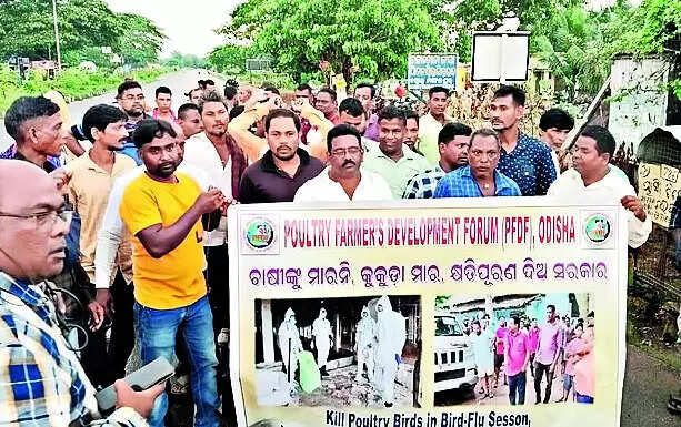 Patia Station Road, Bhubaneswar: Map, Property Rates, Projects, Photos ...