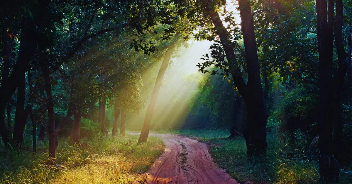 10 India’s most visited natural destinations | Times of India