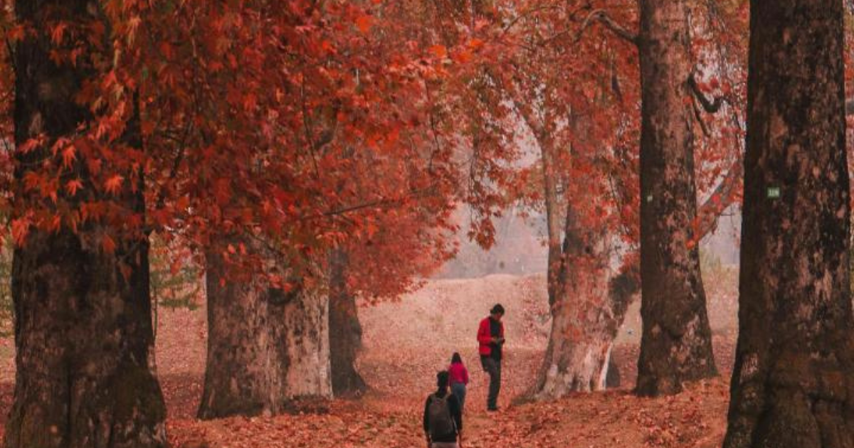 Kashmir in November: A perfect one-week itinerary to the paradise ...