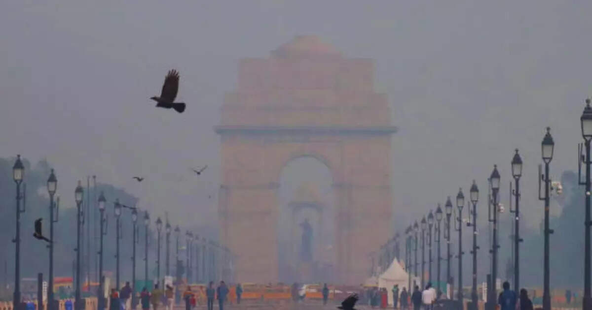10 places in Delhi that locals love to visit in winters | Times of India
