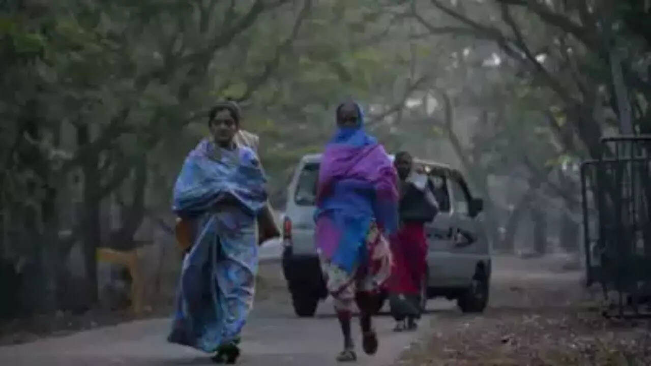 Seawoods, Navi Mumbai: Map, Property Rates, Projects, Photos, Reviews, Info