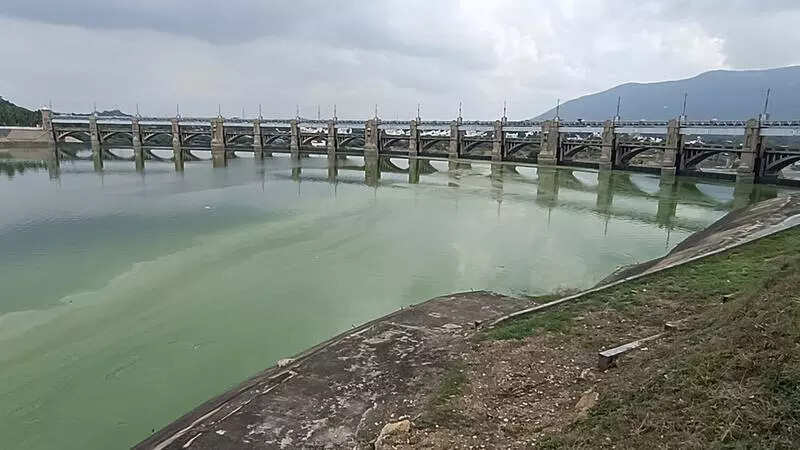 Kalapatti, Coimbatore: Map, Property Rates, Projects, Photos, Reviews, Info