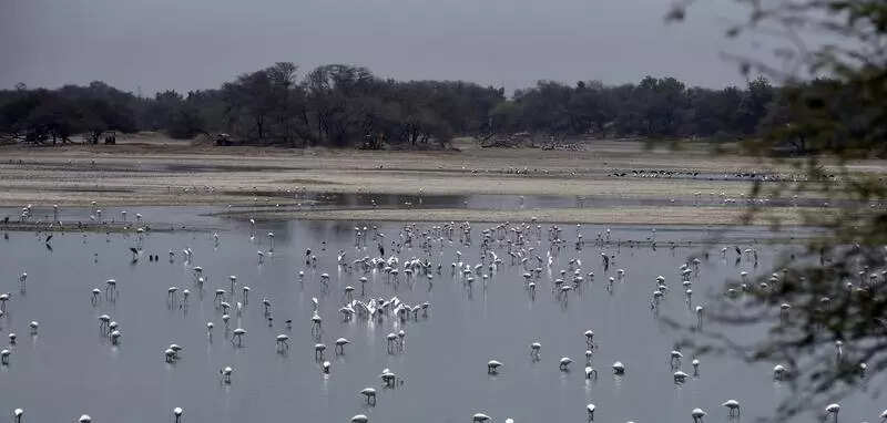 Makarba, Ahmedabad: Map, Property Rates, Projects, Photos, Reviews, Info