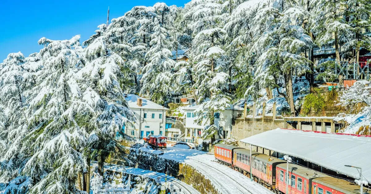 Shimla’s rare December snowfall turns the hill station magical | Times ...