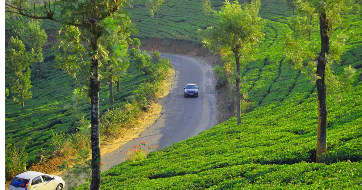 Kerala in winter: Top 10 destinations you can’t miss | Times of India