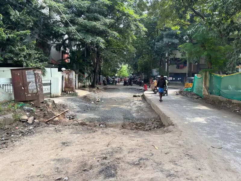 RA Puram, Chennai: Map, Property Rates, Projects, Photos, Reviews, Info