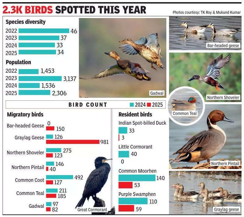 Hosiery Complex, Noida: Map, Property Rates, Projects, Photos, Reviews ...
