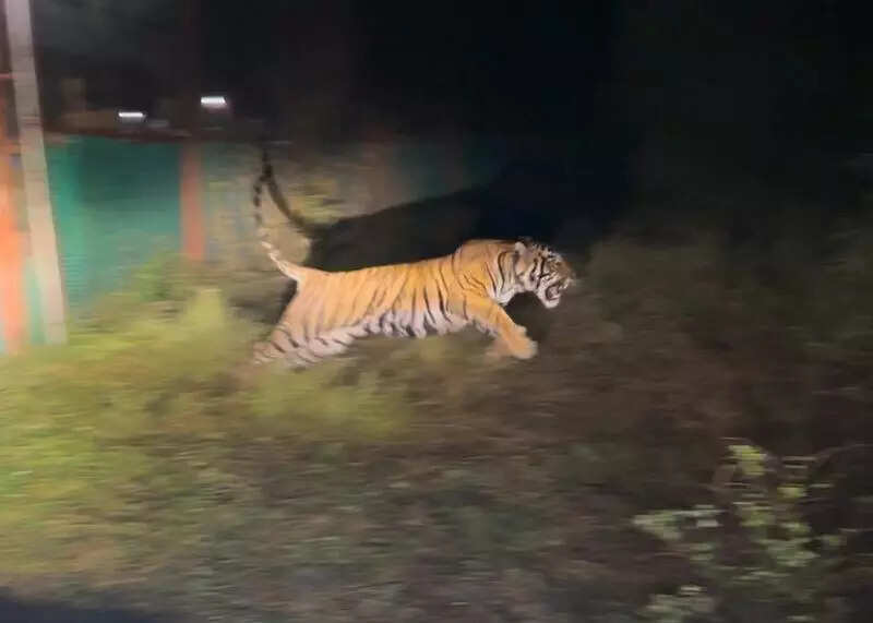 New Loha Mandi, Jaipur: Map, Property Rates, Projects, Photos, Reviews ...