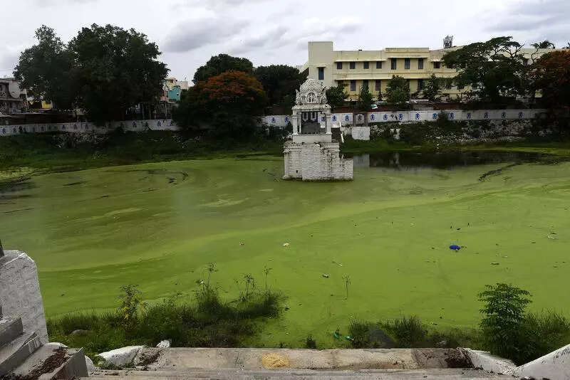 Maduravoyal, Chennai: Map, Property Rates, Projects, Photos, Reviews, Info