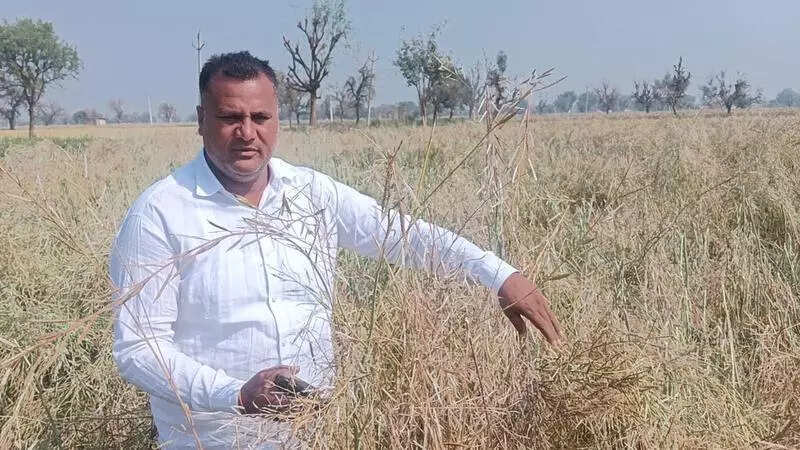 Sitapura Industrial Area, Jaipur: Map, Property Rates, Projects, Photos ...