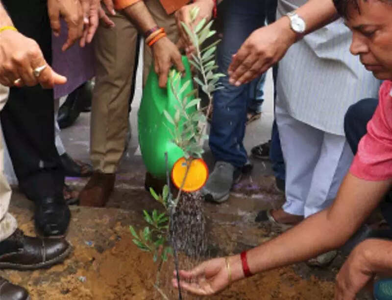 Sitapura, Jaipur: Map, Property Rates, Projects, Photos, Reviews, Info