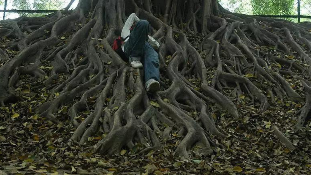 Manimajra, Chandigarh: Map, Property Rates, Projects, Photos, Reviews, Info