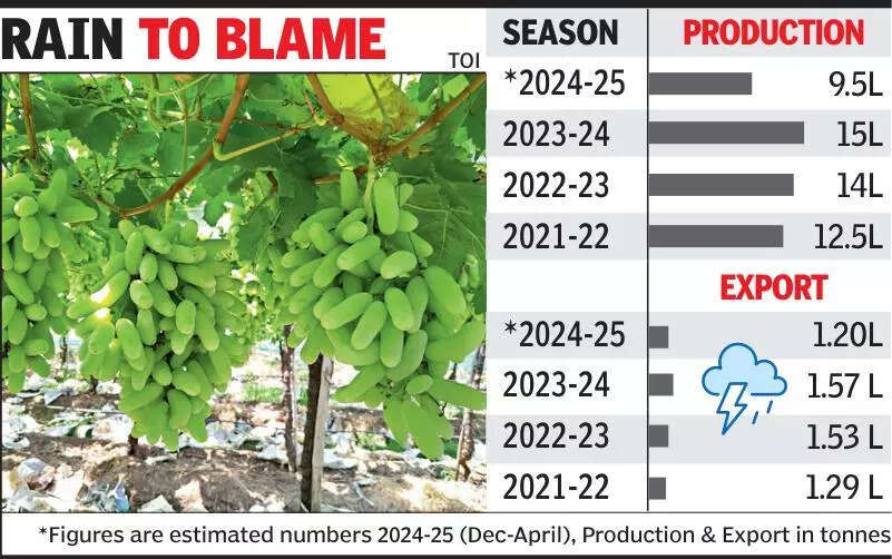 Pathardi Phata, Nashik: Map, Property Rates, Projects, Photos, Reviews ...