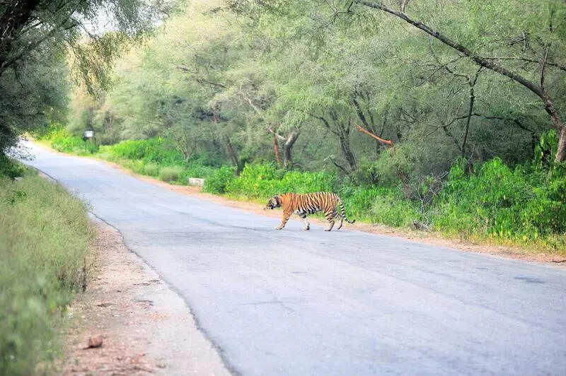 Sitapura Industrial Area, Jaipur: Map, Property Rates, Projects, Photos ...