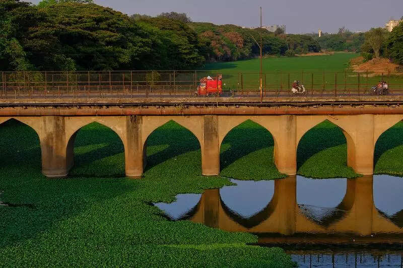 Hinjewadi Phase 3, Pune: Map, Property Rates, Projects, Photos, Reviews ...