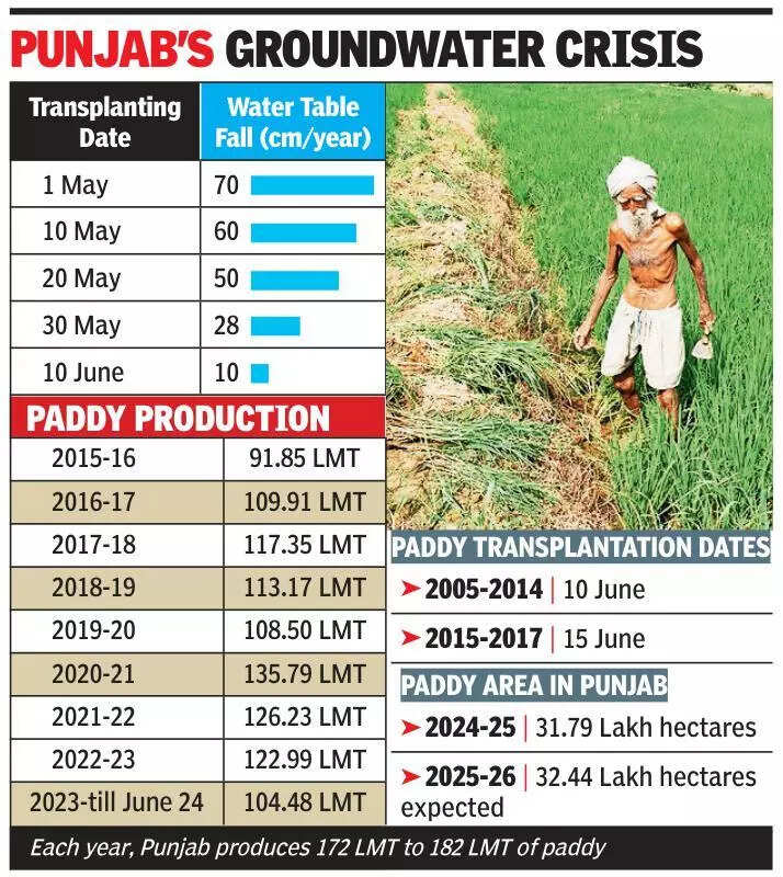 Manimajra, Chandigarh: Map, Property Rates, Projects, Photos, Reviews, Info