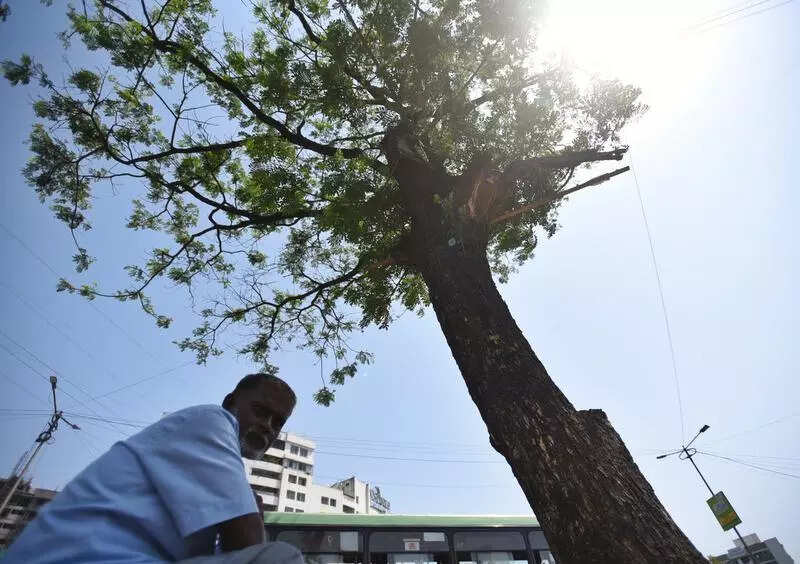 Manchar, Pune: Map, Property Rates, Projects, Photos, Reviews, Info