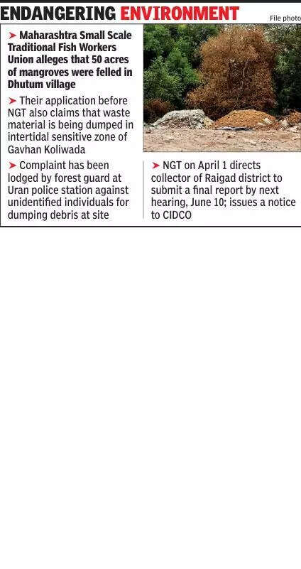 Model Colony, Pune: Map, Property Rates, Projects, Photos, Reviews, Info