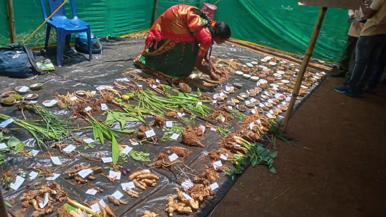 Madhurawada, Visakhapatnam: Map, Property Rates, Projects, Photos ...