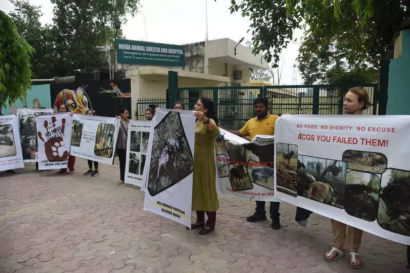 Sector 33, Noida: Map, Property Rates, Projects, Photos, Reviews, Info