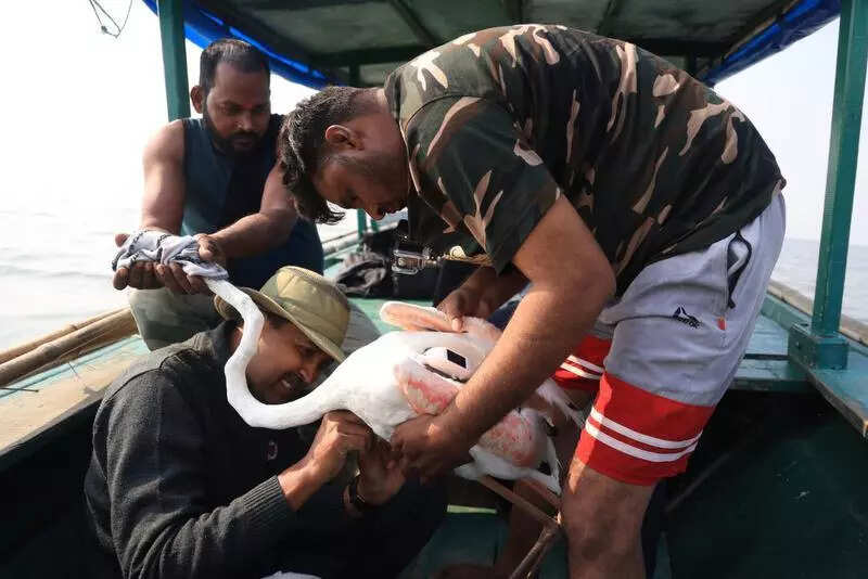 Jamukoli, Bhubaneswar: Map, Property Rates, Projects, Photos, Reviews, Info