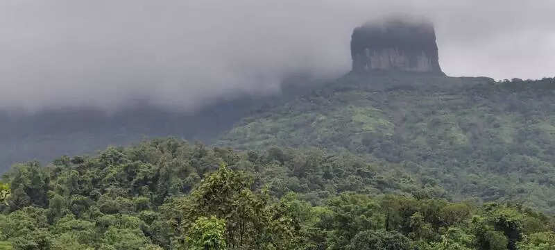 Pan Card Club Road, Pune: Map, Property Rates, Projects, Photos ...