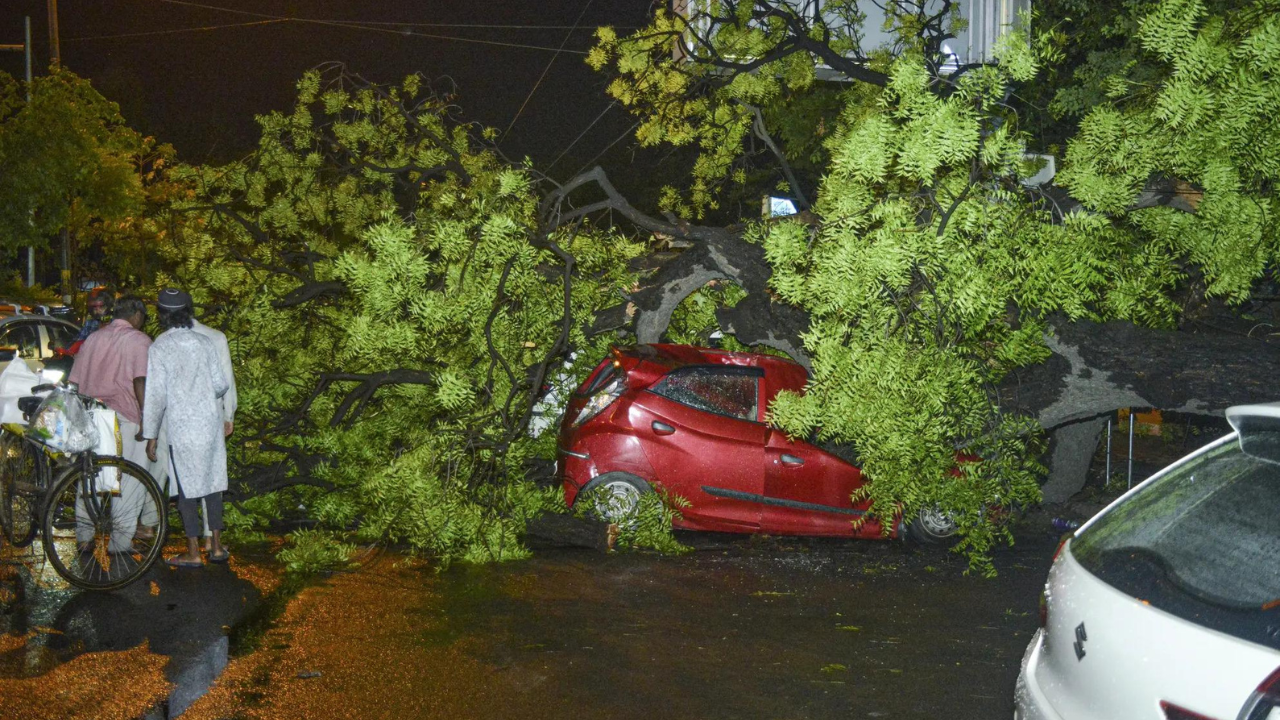 Indira Gandhi Road, Chikmagalur: Map, Property Rates, Projects, Photos ...