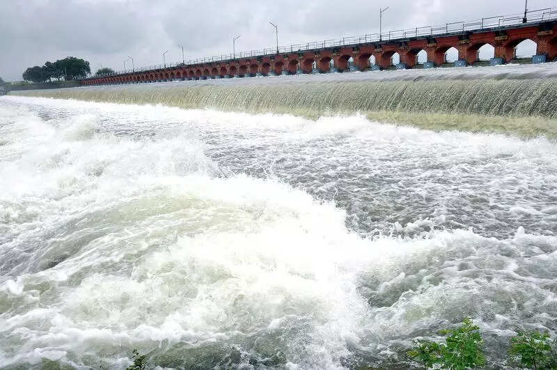 Waghodia, Vadodara: Map, Property Rates, Projects, Photos, Reviews, Info