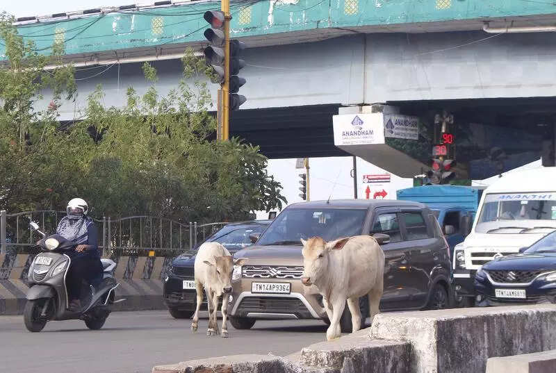 Navalur, Chennai: Map, Property Rates, Projects, Photos, Reviews, Info