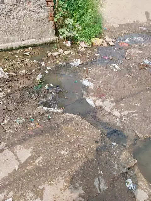 Chhalera, Noida: Map, Property Rates, Projects, Photos, Reviews, Info